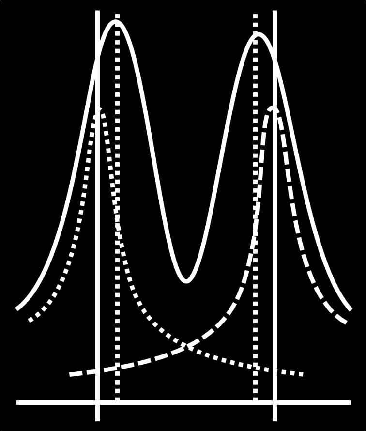 Home - BeeTheory.com